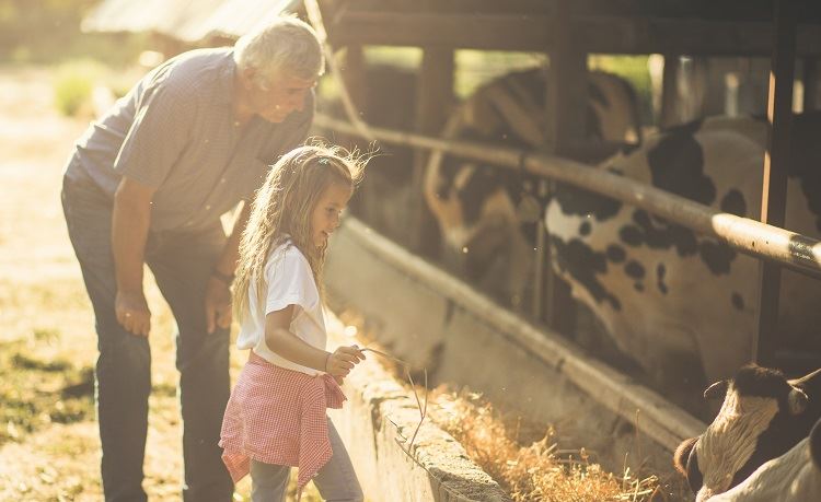 Grandparent Adoption Rights in TX | Requirements to Adopt